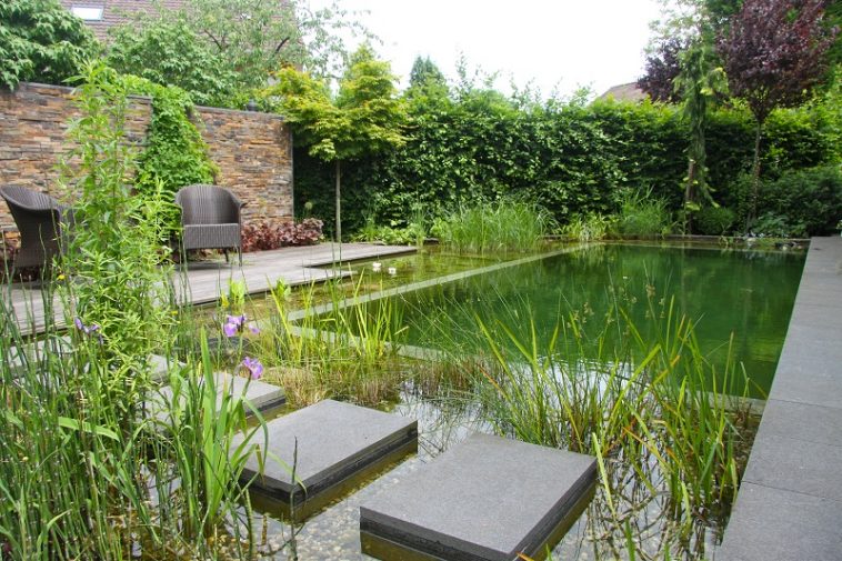 Complete Guide To Natural Swimming Pools - Luxury Pools + Outdoor Living