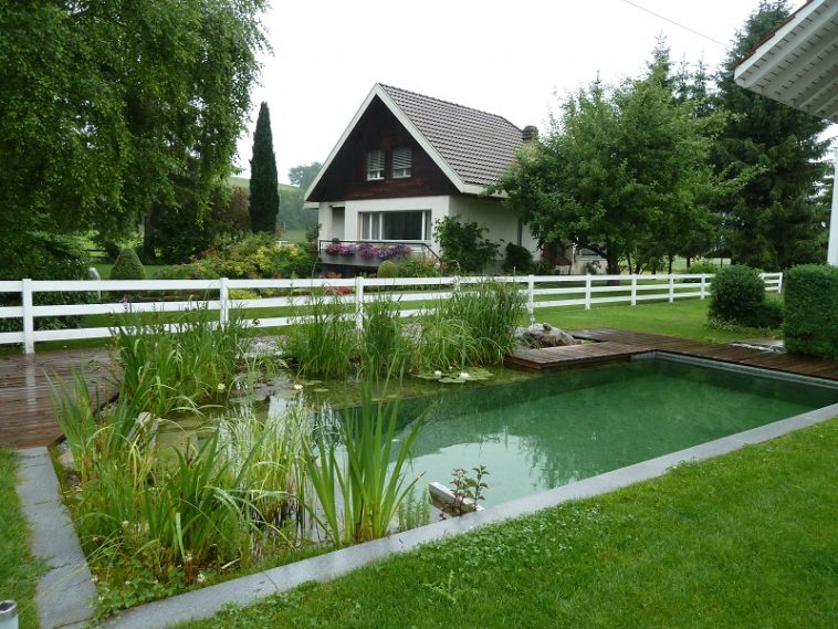 Complete Guide To Natural Swimming Pools - Luxury Pools + Outdoor Living