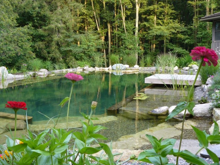 Complete Guide To Natural Swimming Pools - Luxury Pools + Outdoor Living