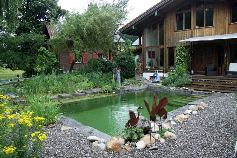 Complete Guide To Natural Swimming Pools - Luxury Pools + Outdoor Living