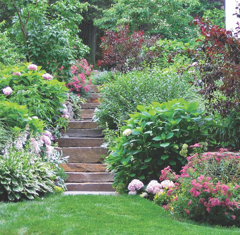 Extreme Landscaping - Luxury Pools + Outdoor Living