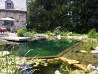 Complete Guide To Natural Swimming Pools - Luxury Pools + Outdoor Living